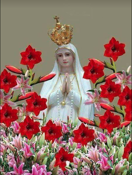 Index [www.zimkatorike.com]